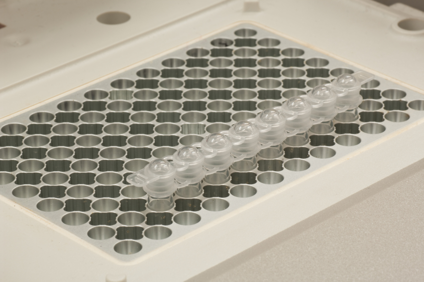 T-Vector Cloning: Answers to Frequently Asked Questions | Promega ...