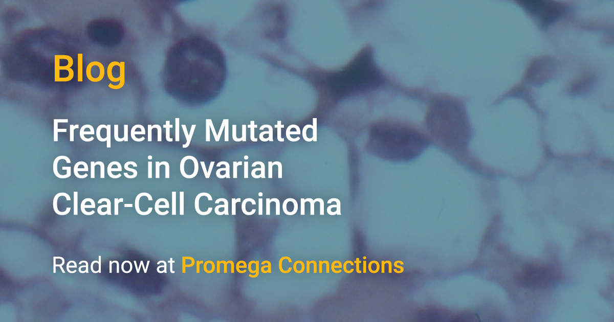 Ovarian Clear Cell Carcinoma Frequently Occuring Mutations Promega Connections