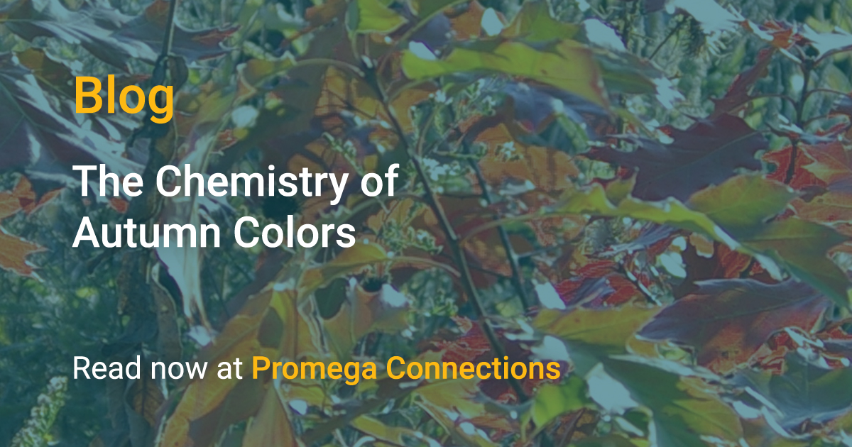 The Chemistry of Autumn Colors - Promega Connections