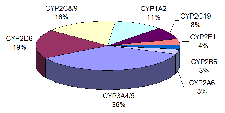Screening for Drug-Drug Interactions with PXR and CYP450 3A4 Activation ...
