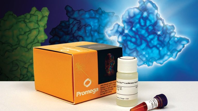 Why You Don't Need to Select a Wavelength for a Luciferase Assay ...