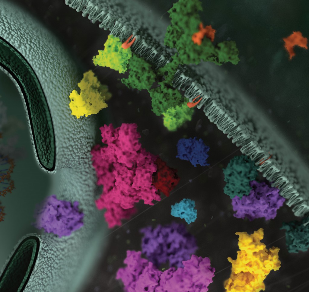 Optimizing Tryptic Digestions for Phosphoproteomics Analysis - Promega ...