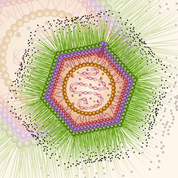 giant viruses Archives - Promega Connections