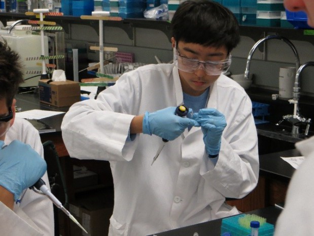 Summer 2016: Exciting Science Programs for Kids at the BTC Institute ...