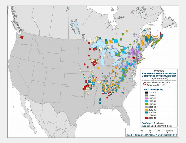 An Epizootic for the Ages: Revisiting the White-Nose Syndrome Story ...