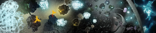 The Role of the NanoLuc® Reporter in Investigating Ligand-Receptor ...