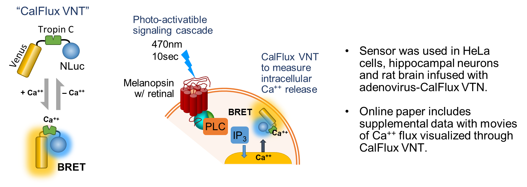 Making the Switch from FRET to BRET: Applications of NanoLuc ...