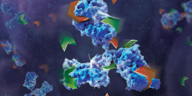 Analysis of a biosimilar mAb using Mass Spectrometry - Promega Connections