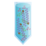 Better NGS Size Selection - Promega Connections