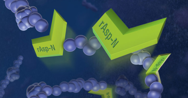 New Recombinant Asp-N Mass Spec Protease: Improved Format and Reduced ...