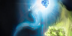 How to Choose a Luciferase Reporter Assay - Promega Connections