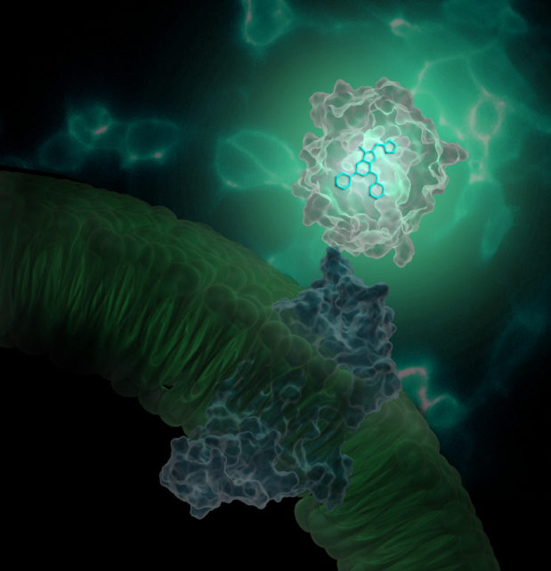 Nano, Nano: Tiny Lipid Particles with Big Therapeutic Potential ...