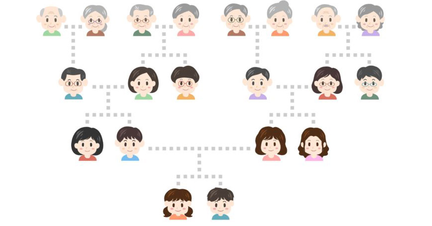 Learning New Things About mtDNA Inheritance from a Four-Year-Old Boy ...