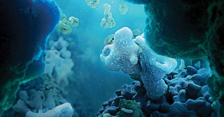 A BiT or BRET, Which is Better? - Promega Connections