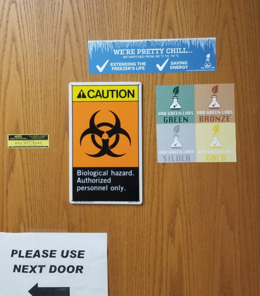 Making Research More Sustainable, One Lab at a Time - Promega Connections