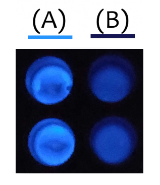 NanoLuc: Tiny Tag with a Big Impact - Promega Connections