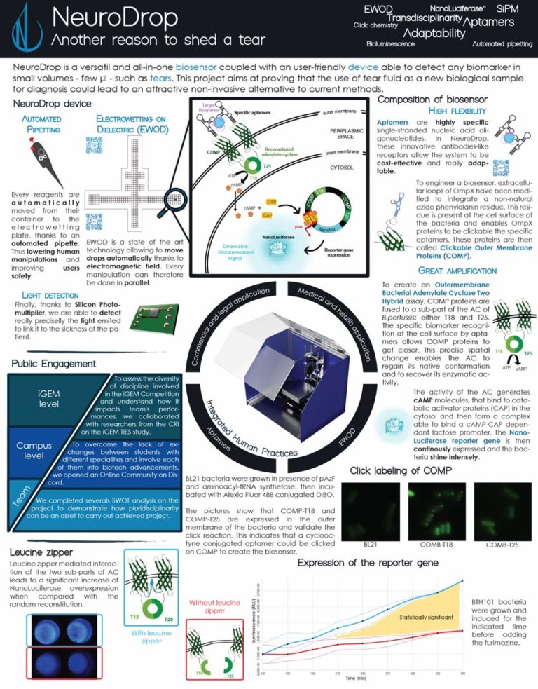 NanoLuc: Tiny Tag with a Big Impact - Promega Connections
