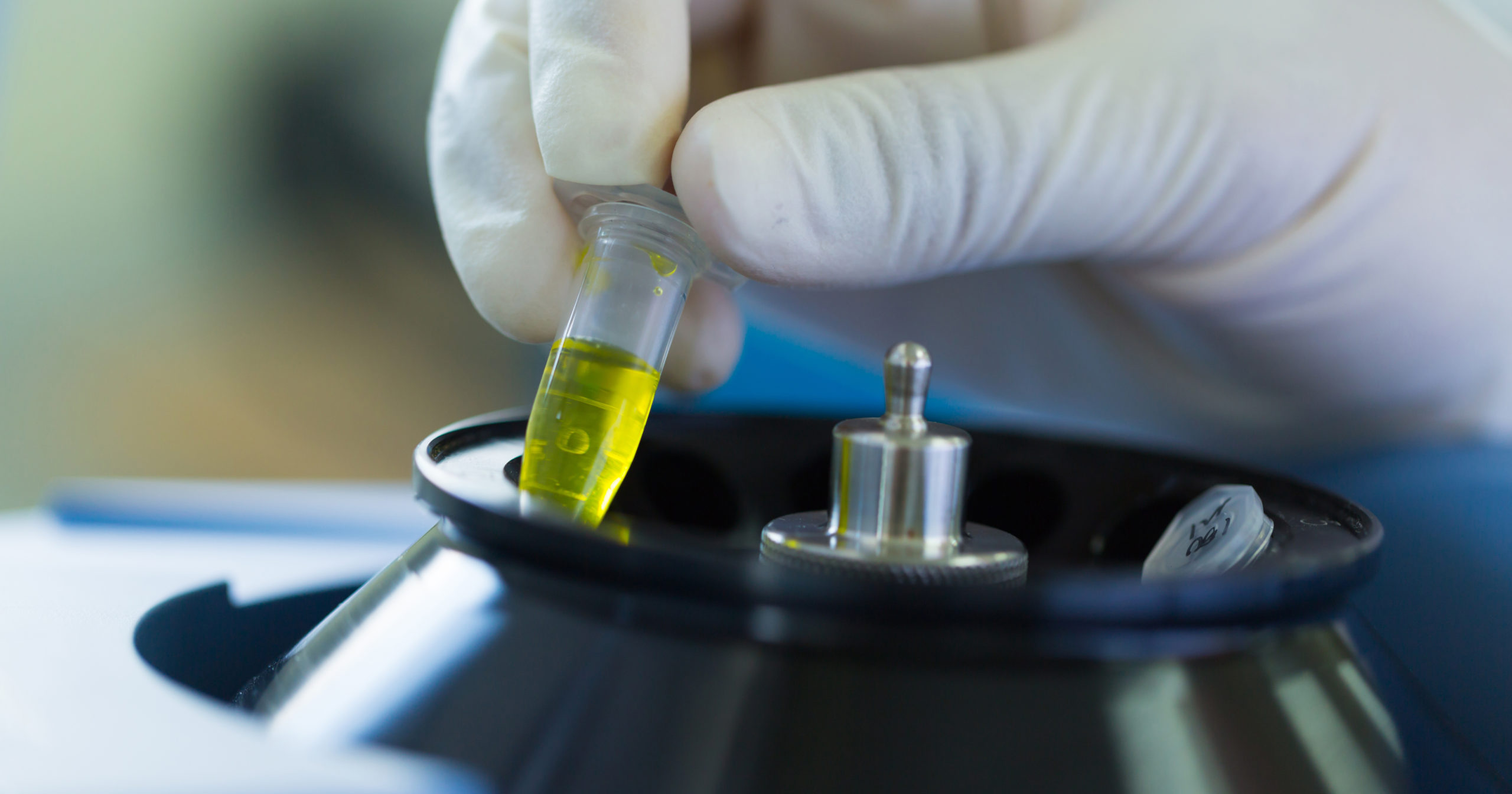 Cloning with pGEM®-T Vectors: Ligation | Promega Connections
