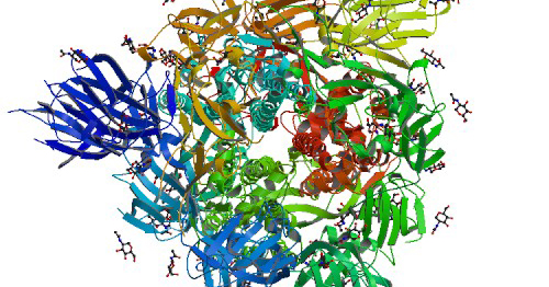 Understanding the Structure of SARS-CoV-2 Spike Protein - Promega ...