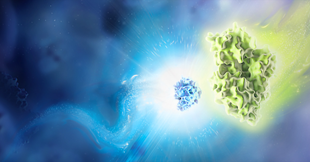 CRISPR/Cas9 HiBiT Knock-In: A Scalable Approach for Studying Endogenous ...
