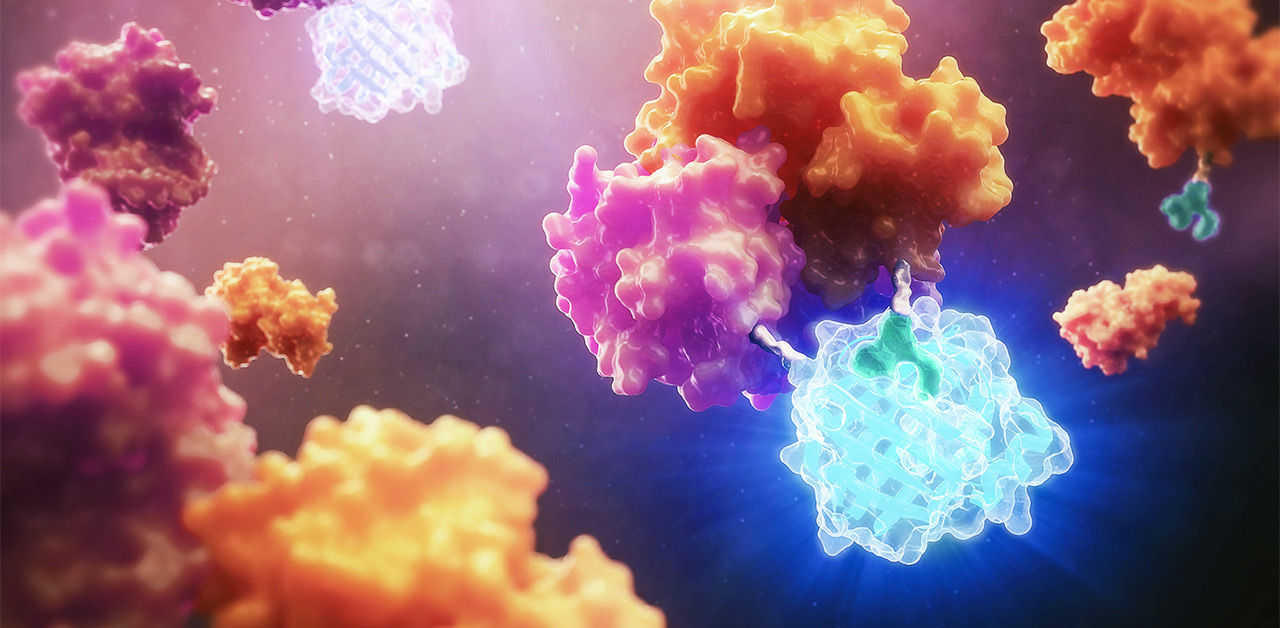 NanoLuc® Luciferase: Brighter Days Ahead for In Vivo Imaging - Promega ...