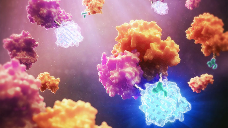 NanoLuc® Luciferase: Brighter Days Ahead for In Vivo Imaging - Promega ...