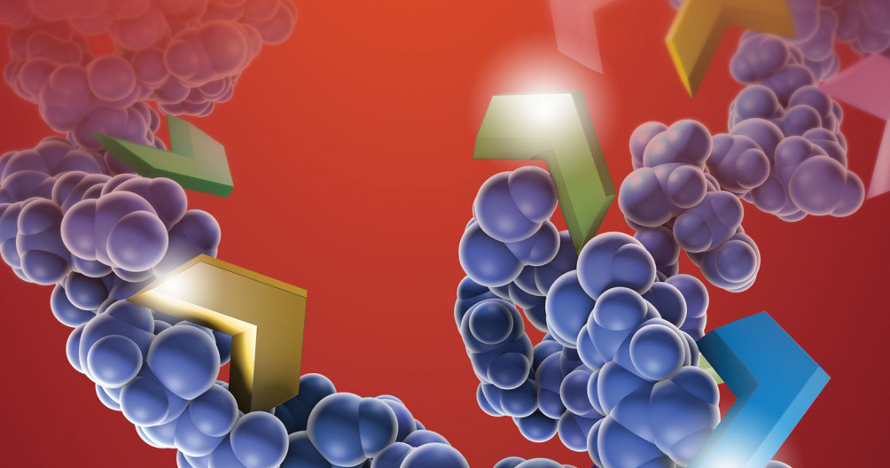 Proteomics from a Different Point of View: Introducing ProAlanase, the ...