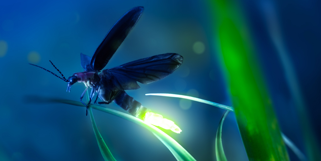 Converting RPM to g Force (RCF) and Vice Versa - Promega Connections