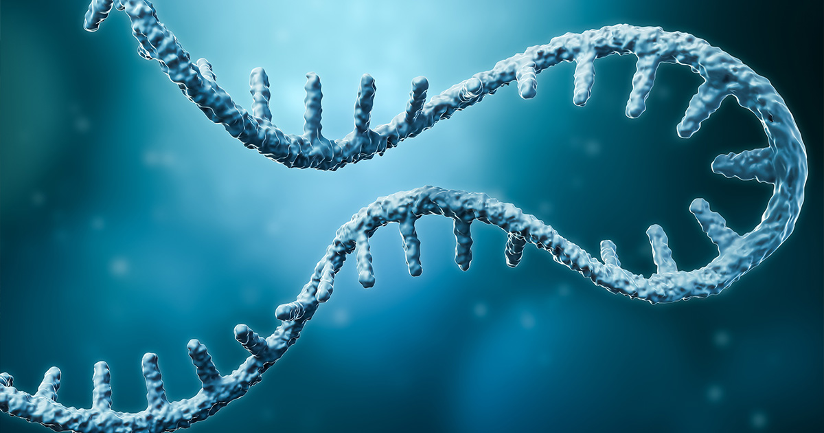 RNA-Protein Interactions: A New Frontier for Drug Discovery - Promega ... RNA-Protein Interactions: A New Frontier for Drug Discovery - Promega ...