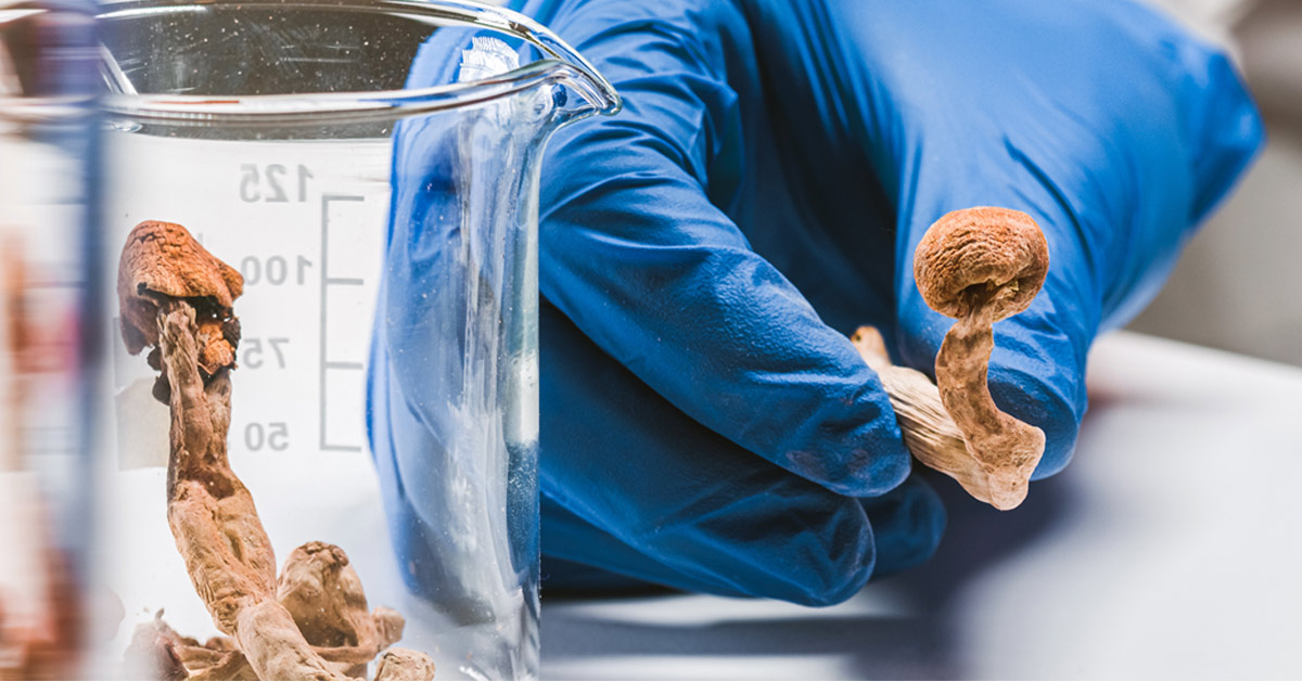 Psilocybin as Antidepressant: Quick Acting, Lasting Benefits - Promega ...