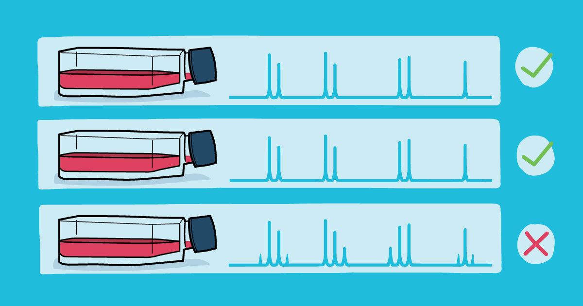 Catch Cross-Contamination Early: Authenticate Your Cell Lines ...