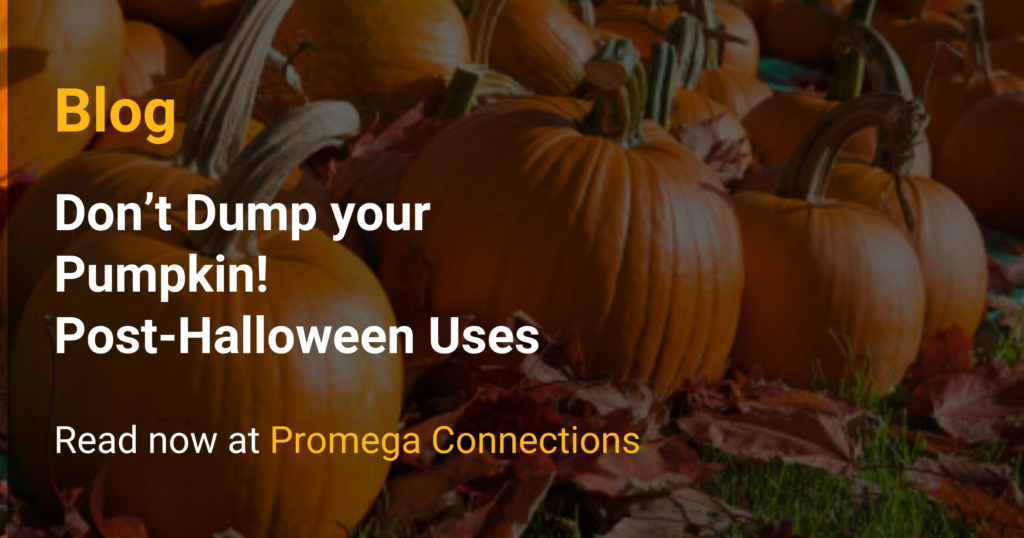 Don't Dump your Pumpkin! Post-Halloween Uses - Promega Connections
