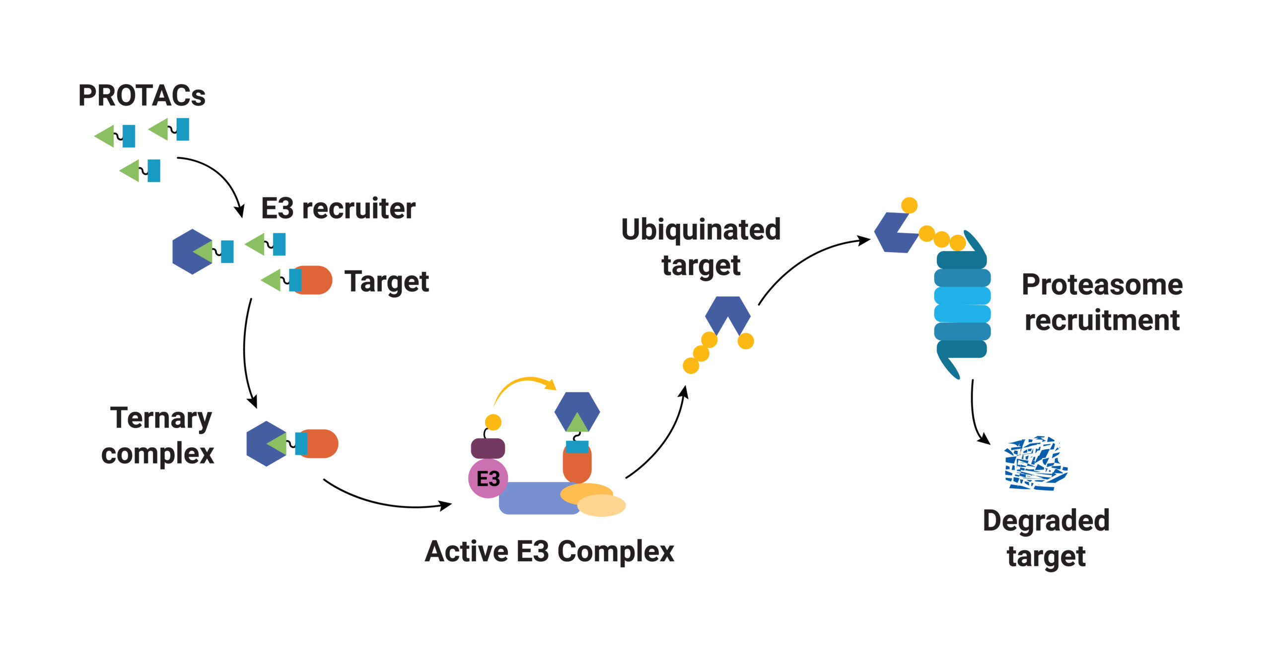 Using Structural Computation Models To Predict Productive Protac Ternary Complexes Promega 