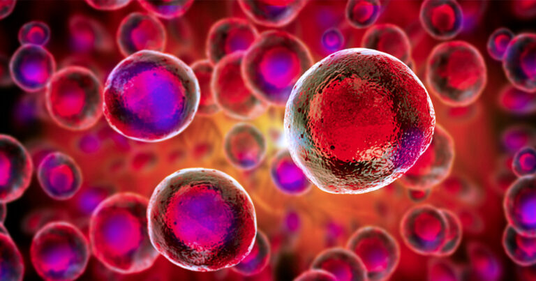 The Human Cell Atlas: Mapping a Cellular Landscape - Promega Connections