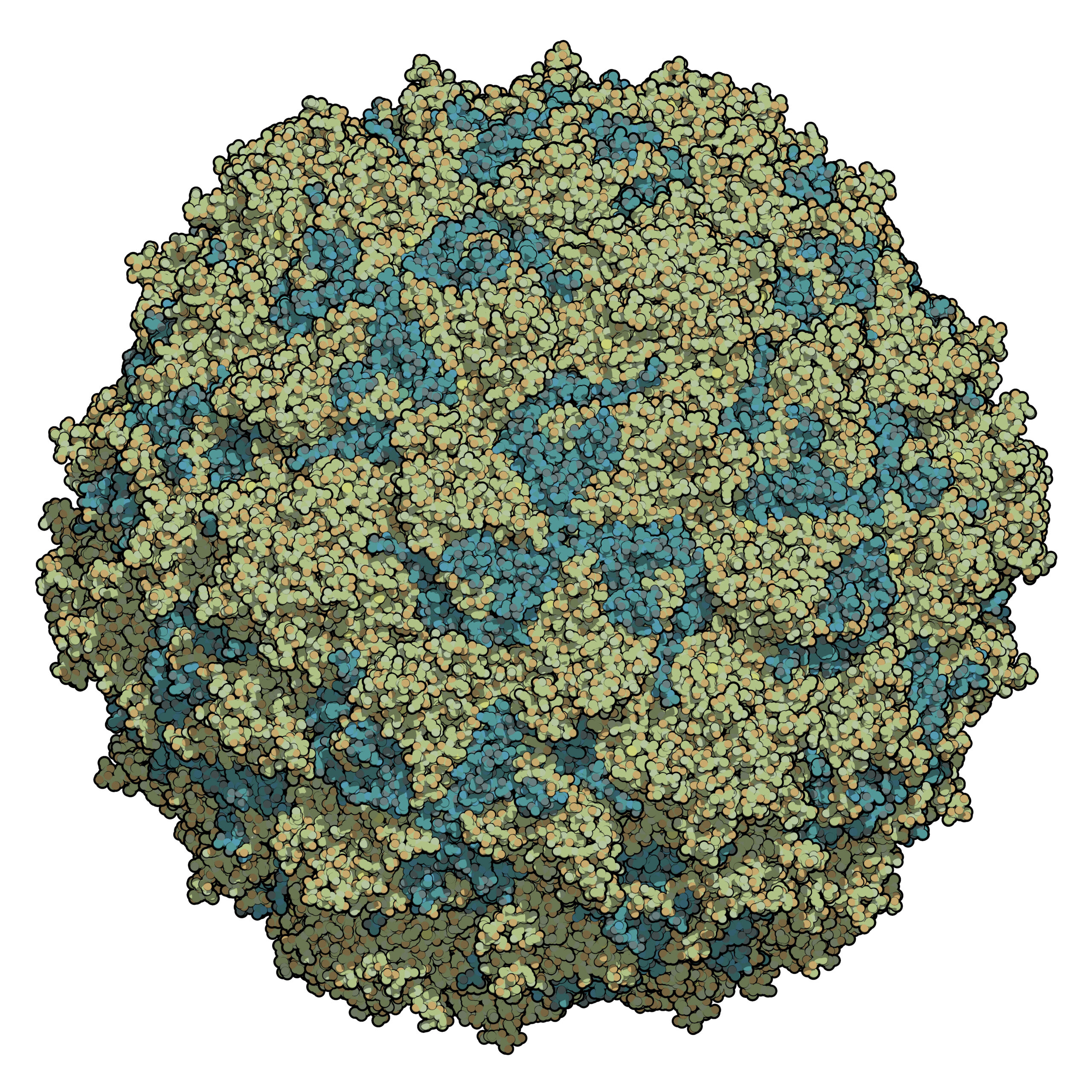 A Virus Makes A Comeback Emerging Poliovirus Transmission In The West A Virus Makes A Comeback Emerging Poliovirus Transmission In The West
