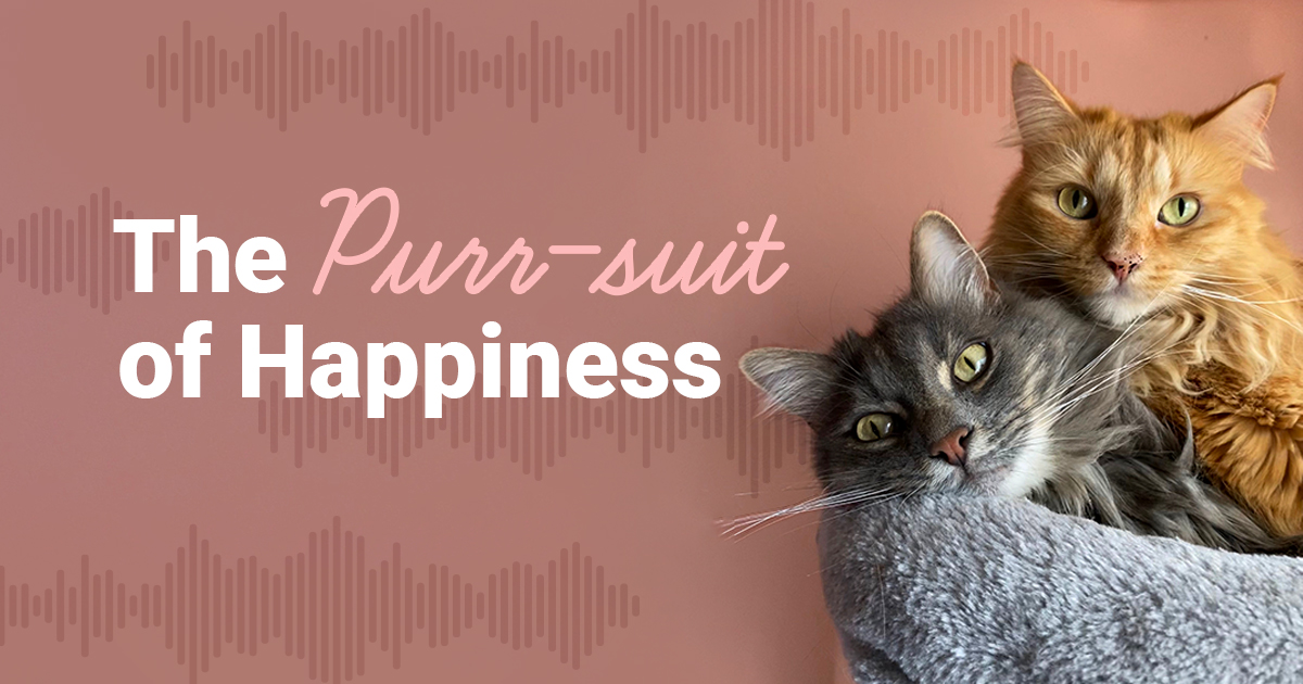 Promega Connections - Thoughts, tech tips and news about science