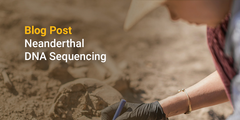 Neanderthal Dna Sequence