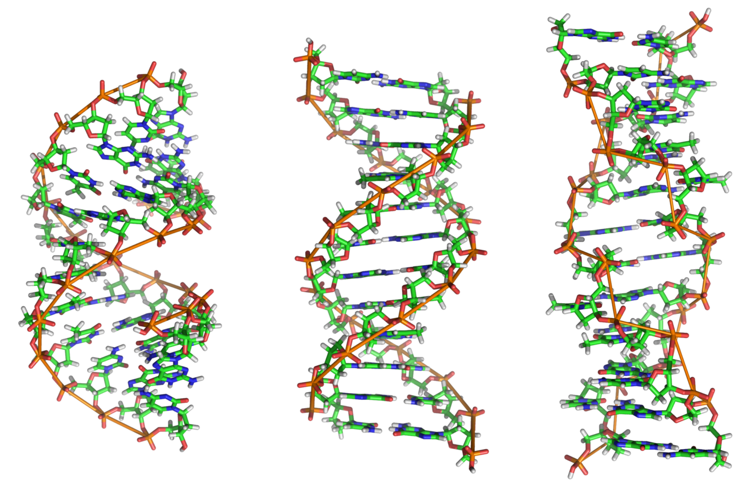 Left-Handed DNA: Is That Right? - Promega Connections