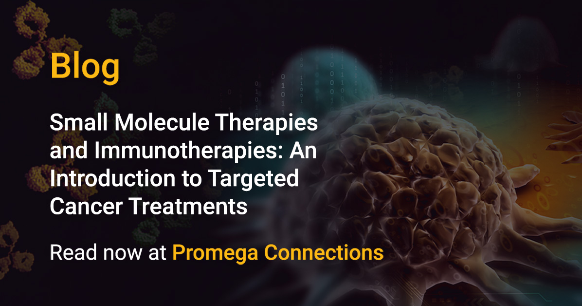 Small Molecule Therapies and Immunotherapies: An Introduction to ...
