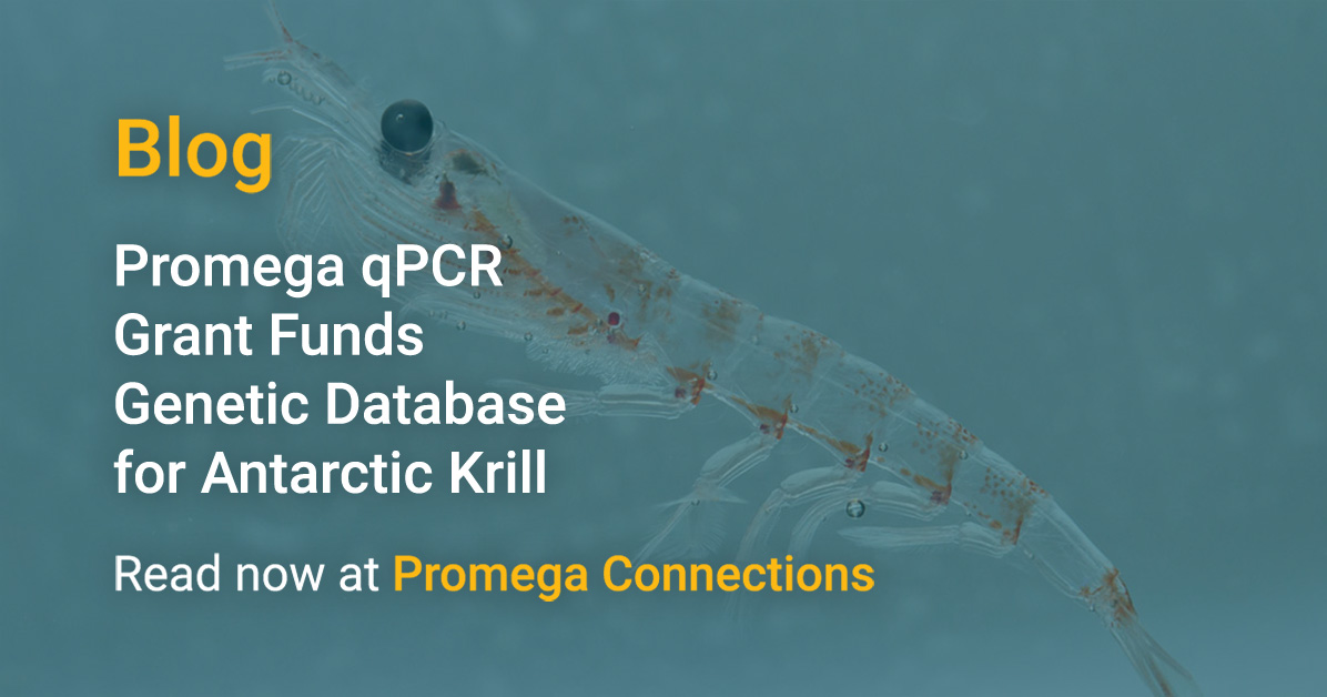 Promega qPCR Grant Funds Genetic Database for Antarctic Krill - Promega Connections