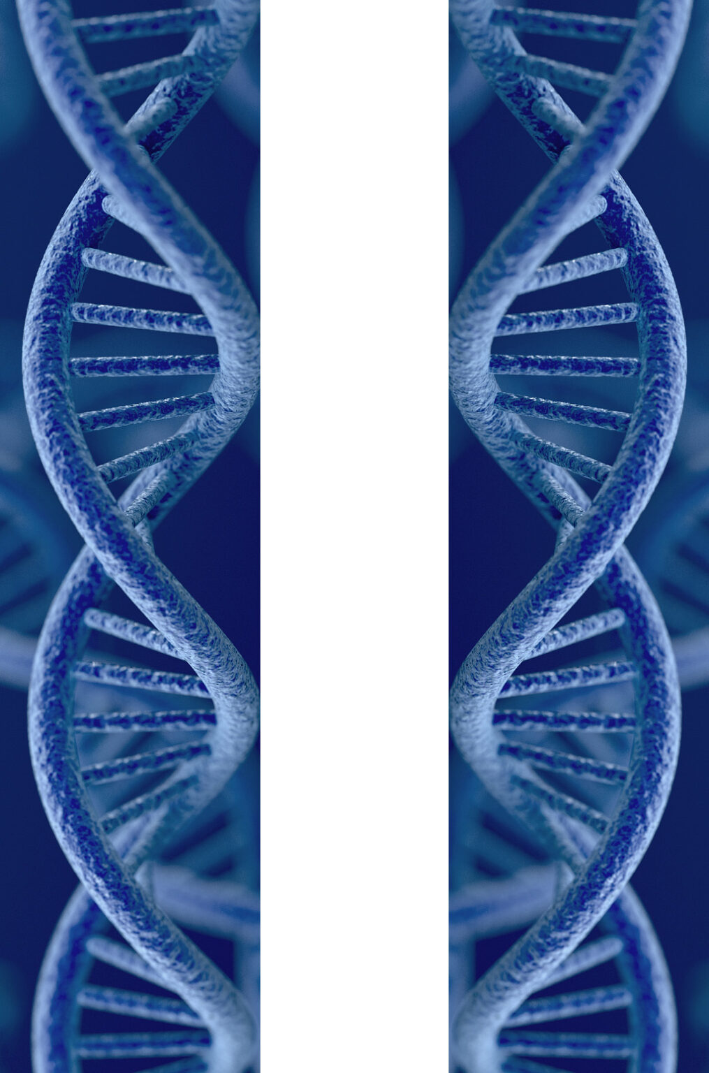 Left-Handed DNA: Is That Right? - Promega Connections