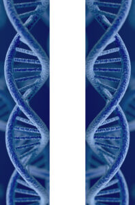 Left-Handed DNA: Is That Right? - Promega Connections