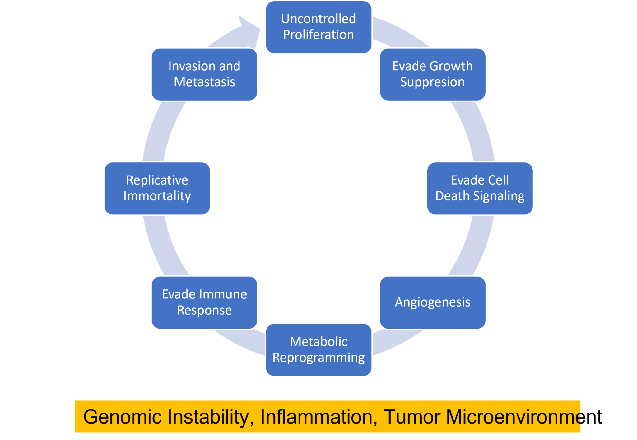 Conversations Nerve Tumor Crosstalk In The Tumor Microenvironment Conversations Nerve Tumor Crosstalk In The Tumor Microenvironment