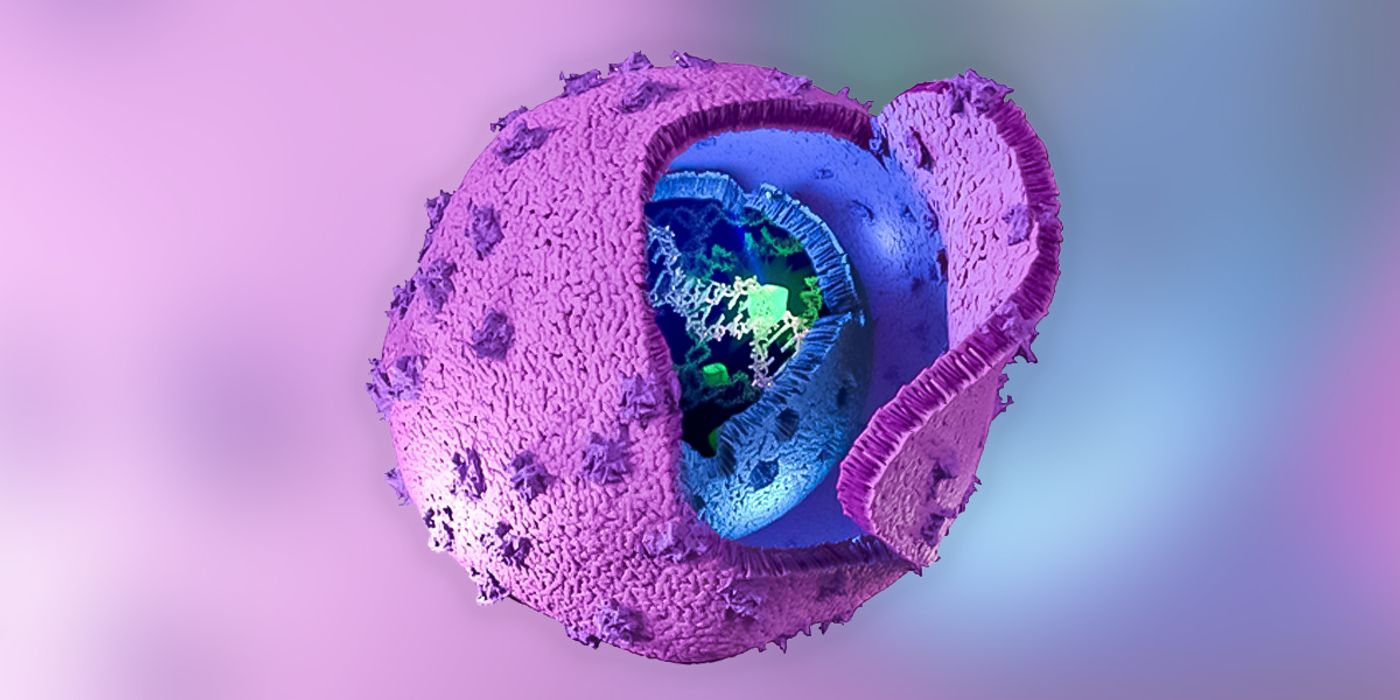 Supporting CAR-T Cell Therapy with STR Analysis - Promega Connections