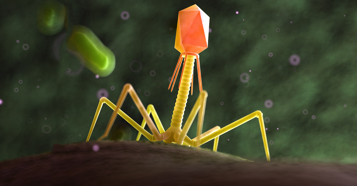 Phage Therapy: Meeting the Challenge of Drug-Resistant Bacterial ...