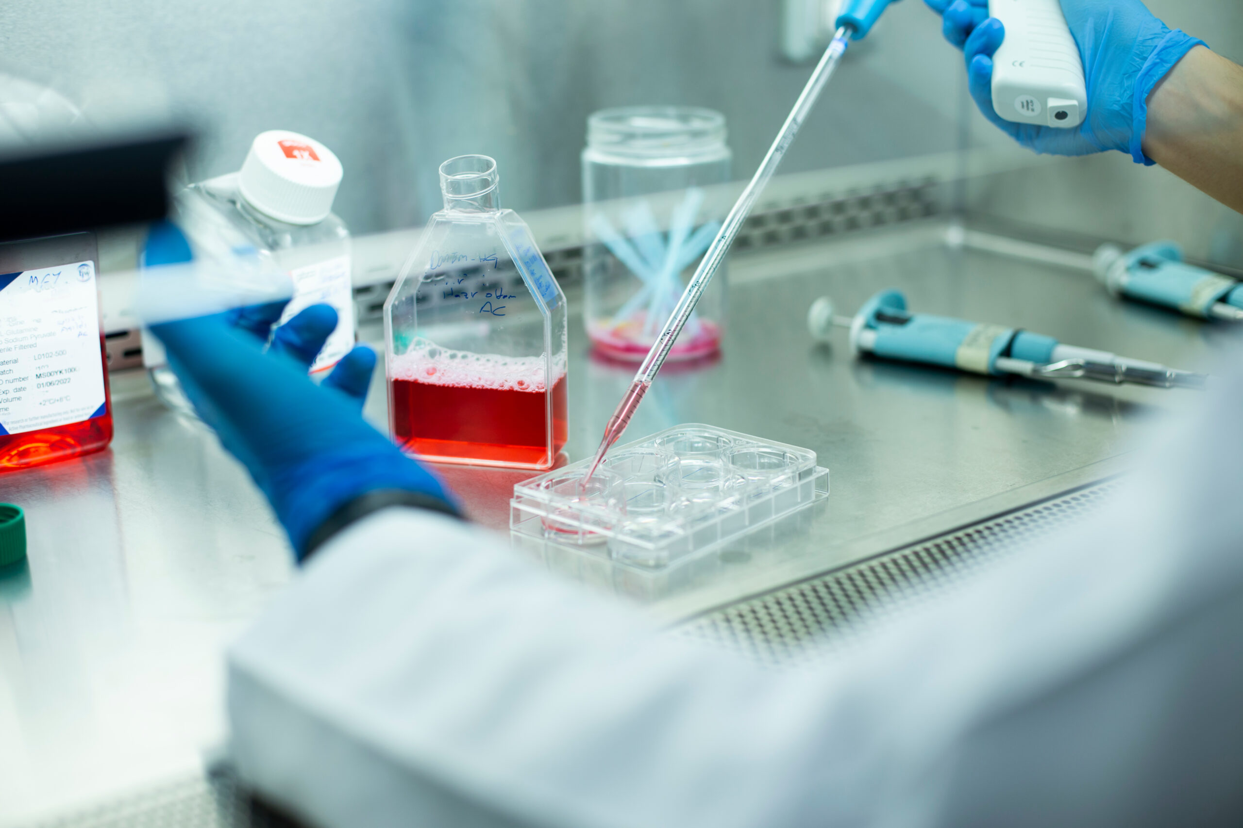 Insects and Science: Optimizing Work with Sf9 Insect Cells - Promega ...