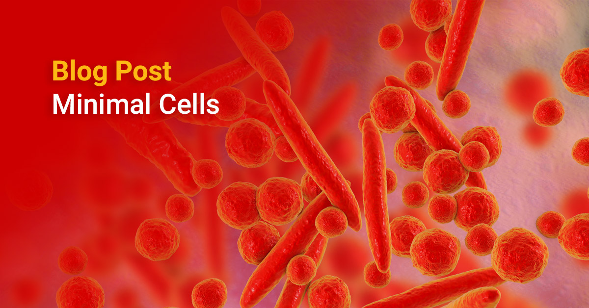 Synthetic Biology: Minimal Cell, Maximal Opportunity - Promega Connections