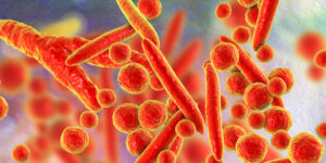 Synthetic Biology: Minimal Cell, Maximal Opportunity - Promega Connections