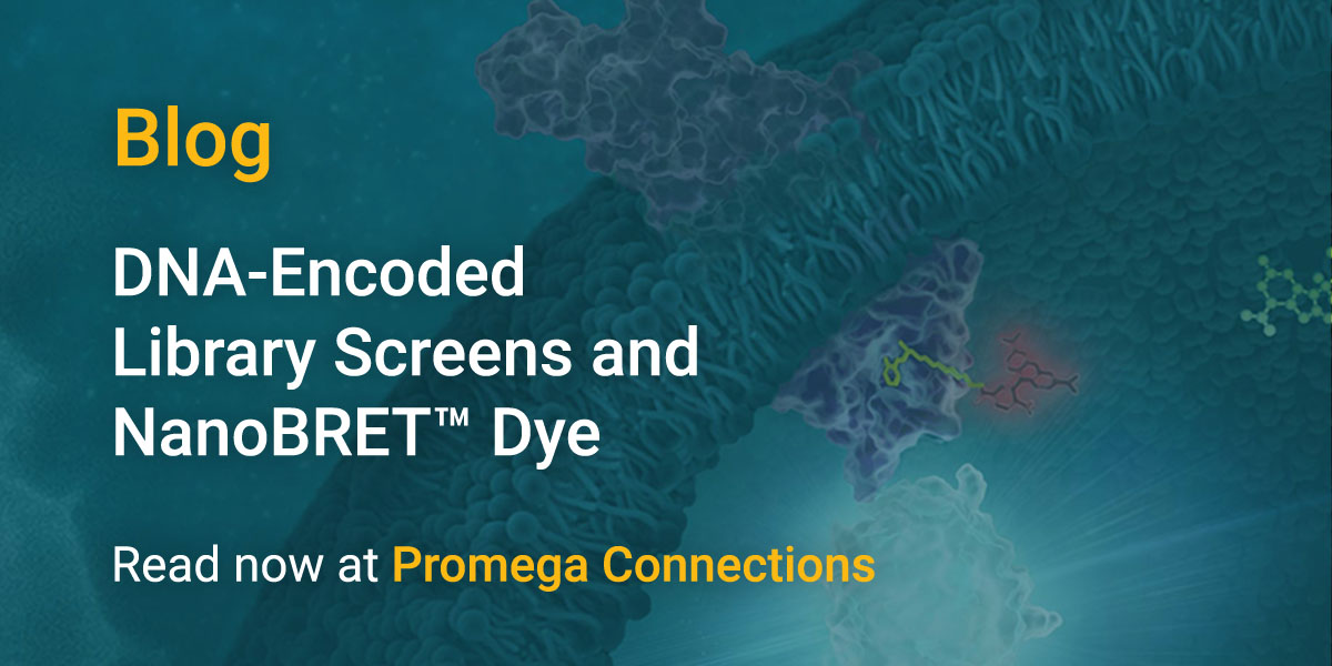 From Hit to Live-Cell Target Engagement Assay: DNA-Encoded Library ...