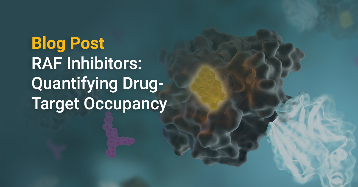 RAF Inhibitors: Quantifying Drug-Target Occupancy at Active RAS-RAF Complexes in Live Cells ...